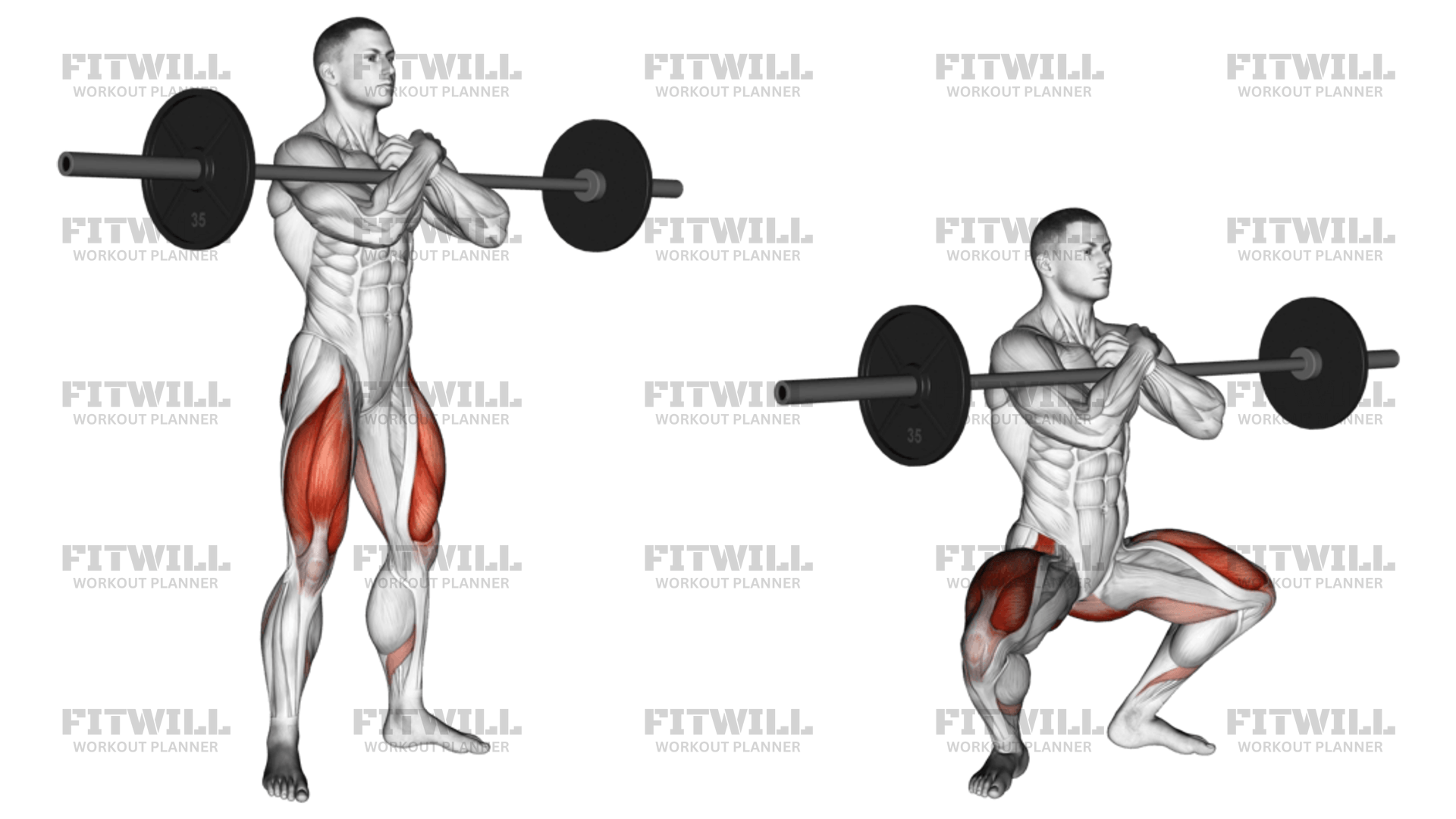 Sentadilla Zercher Con Barra: Guía de Ejercicios, Técnicas, Beneficios ...