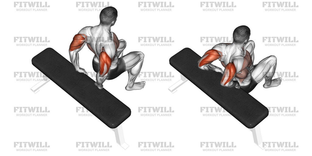 Bench Dip (knees Bent): Exercise Guide, Video, Techniques, Benefits ...