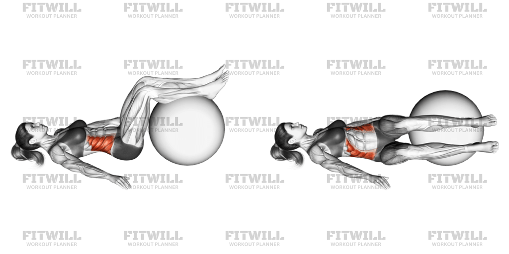 Bent-knee Lying Twist (On Stability Ball): Exercise Video | Fitwill