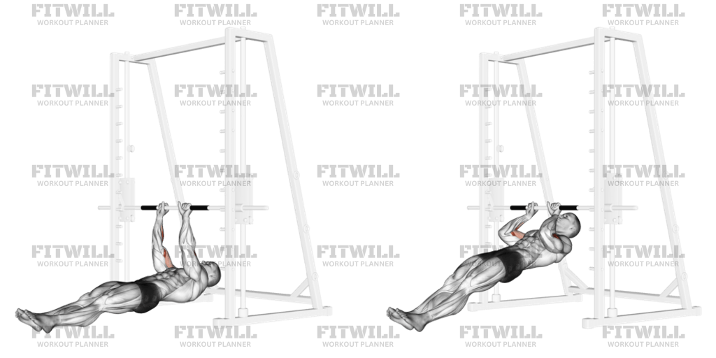 Brachialis Narrow Pull-ups: Exercise Guide, Techniques, Benefits, How ...