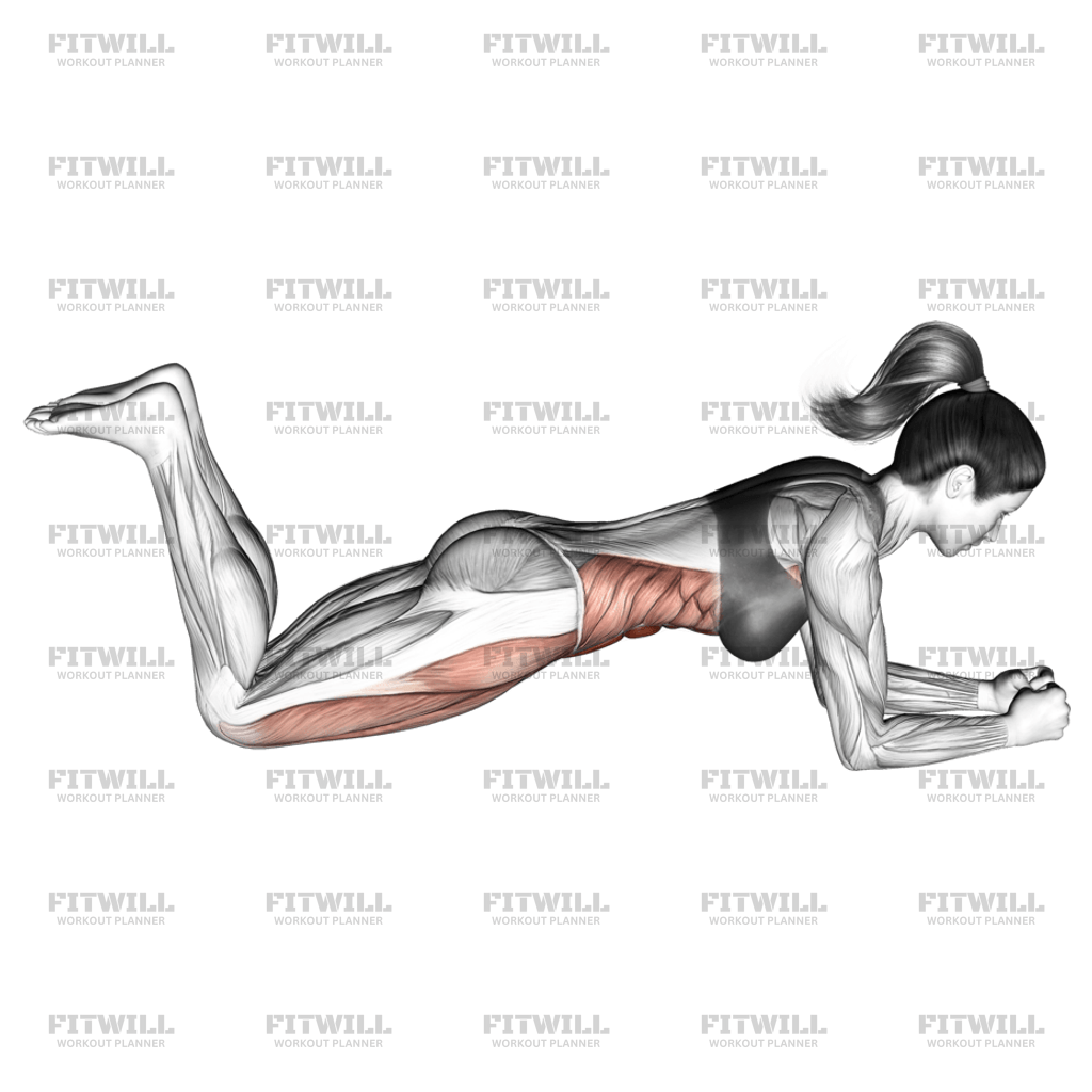 Bridge (on Knees): Exercise Guide, Techniques, Benefits, How to ...