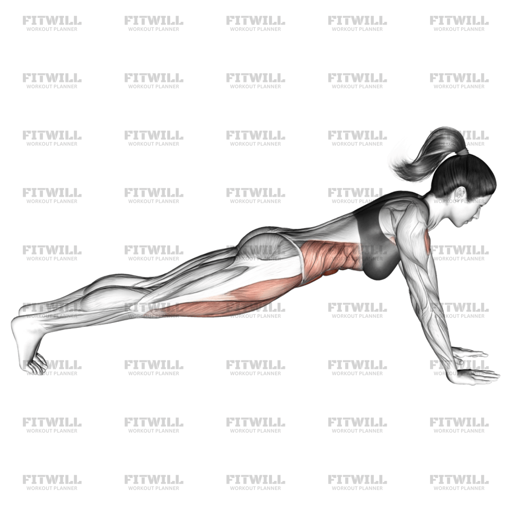 Bridge (straight Arm): Exercise Guide, Techniques, Benefits, How to ...