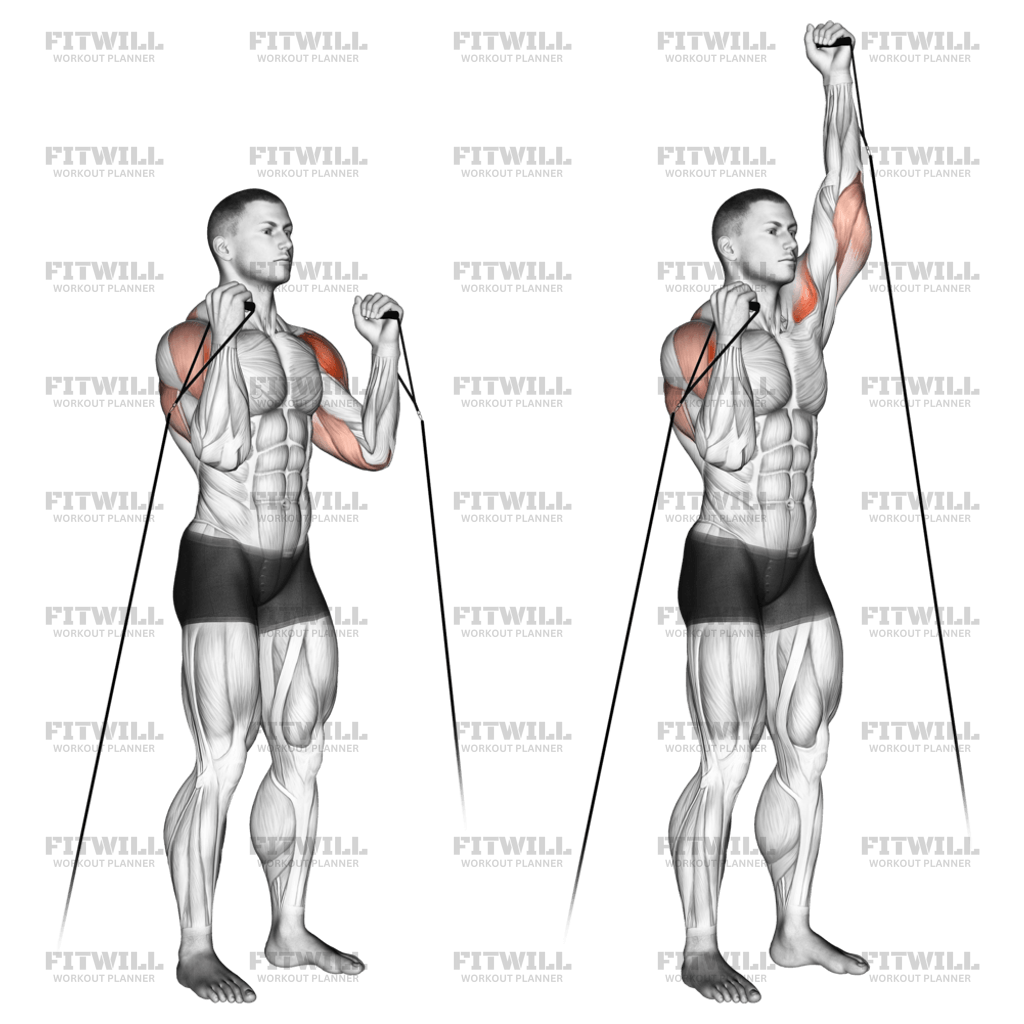 Press De Hombros Alterno Con Polea: Guía de Ejercicios, Técnicas ...