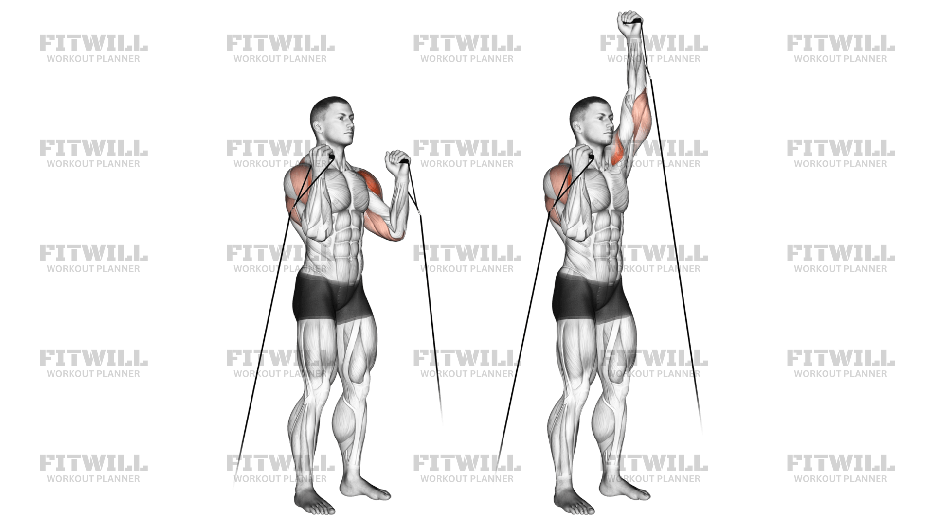 Cable Alternate Shoulder Press: Exercise Guide, Techniques, Benefits ...
