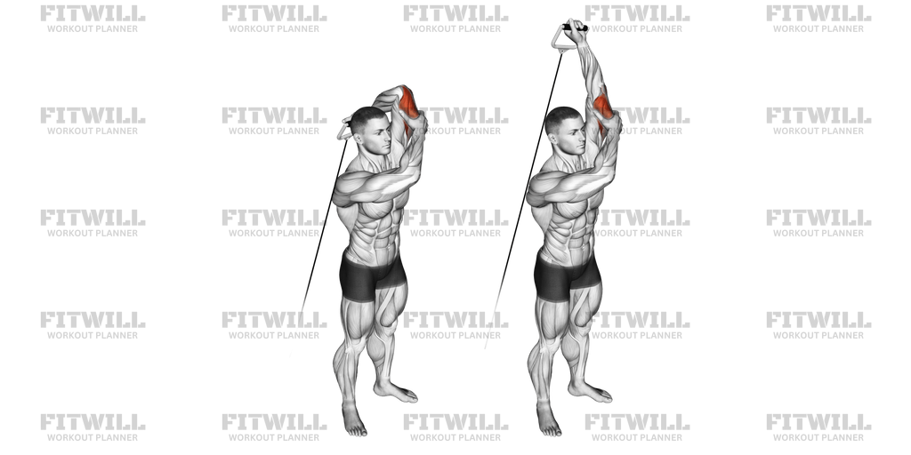 Cable Alternate Triceps Extension: Exercise Guide, Video, Techniques ...