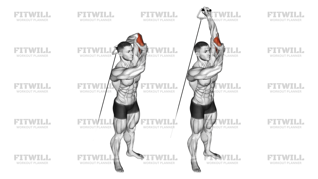 Cable Alternate Triceps Extension: Exercise Guide, Video, Techniques ...