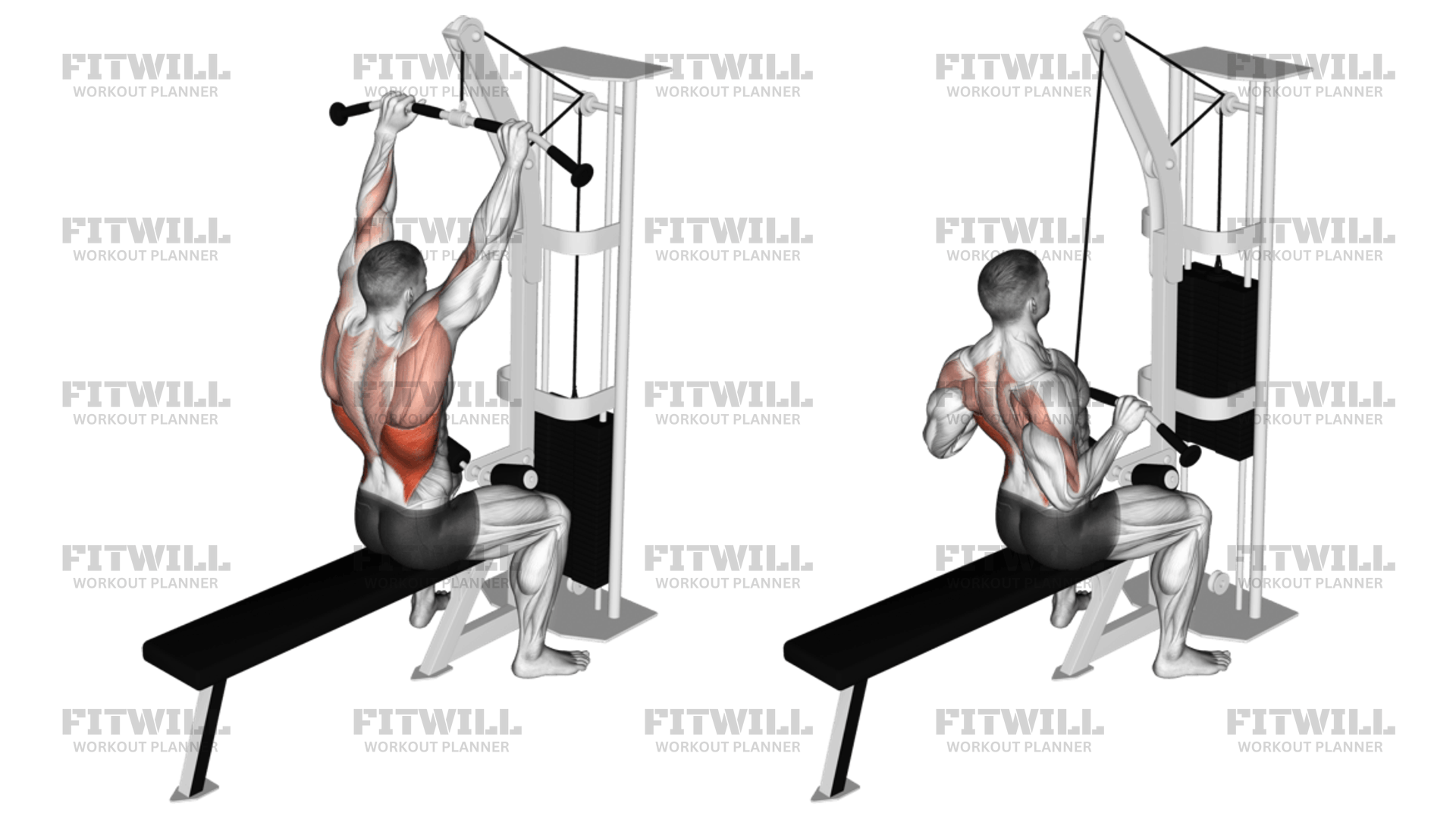 Ultimate Upper Back & Lat Development Workout with Dumbbells & Cables ...