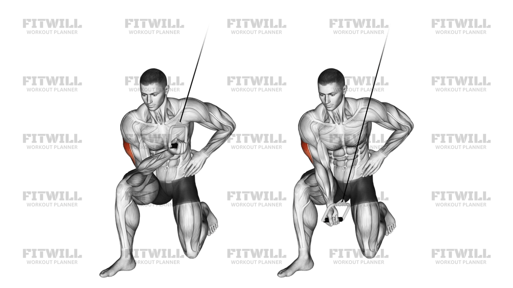 Cable Concentration Extension (on Knee): Exercise Guide, Video ...