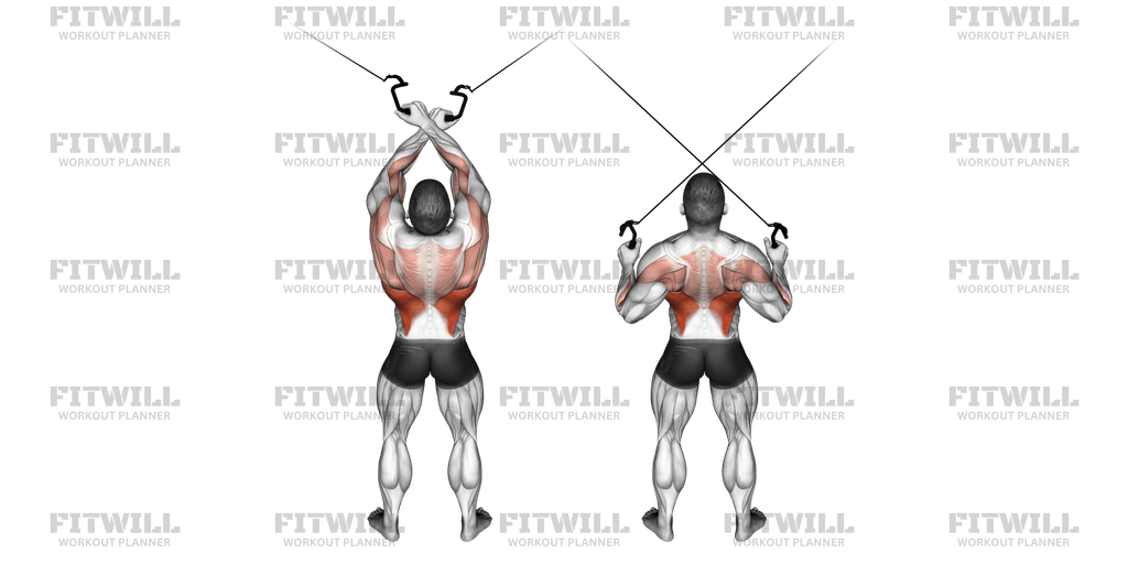 Cable Cross-Over Lateral Pulldown: Exercise Guide, Video, Techniques ...