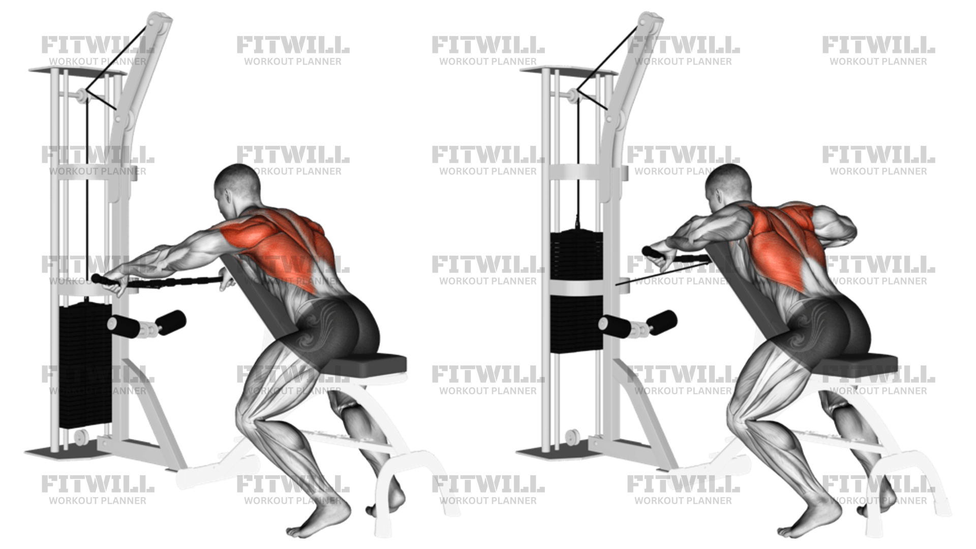 Cable Decline Seated Wide-grip Row: Exercise Guide, Video, Techniques ...
