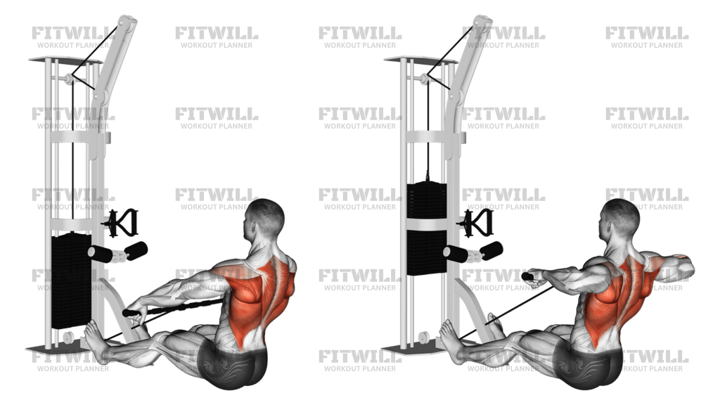 Cable Floor Seated Wide-grip Row: Guide, Techniques, Benefits, How to ...