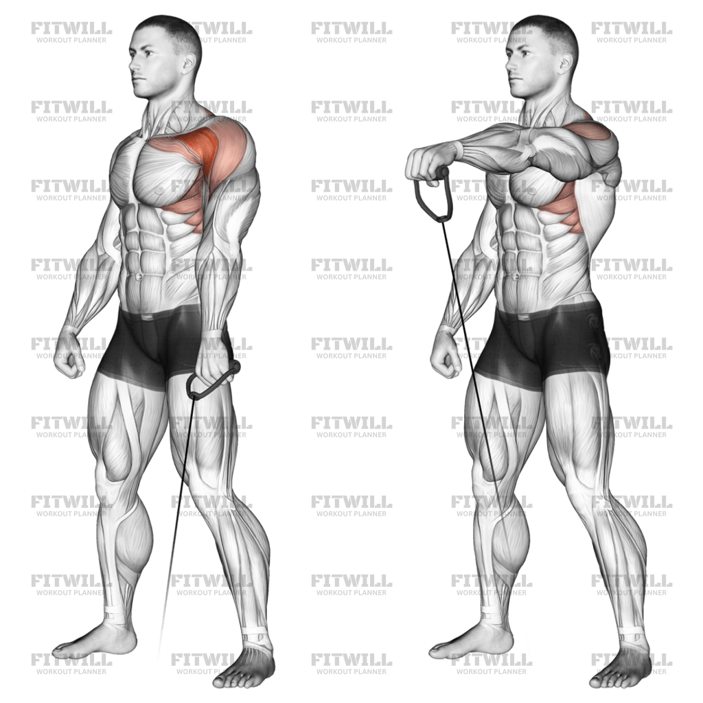Cable Forward Raise: Exercise Guide, Video, Techniques, Benefits, How ...