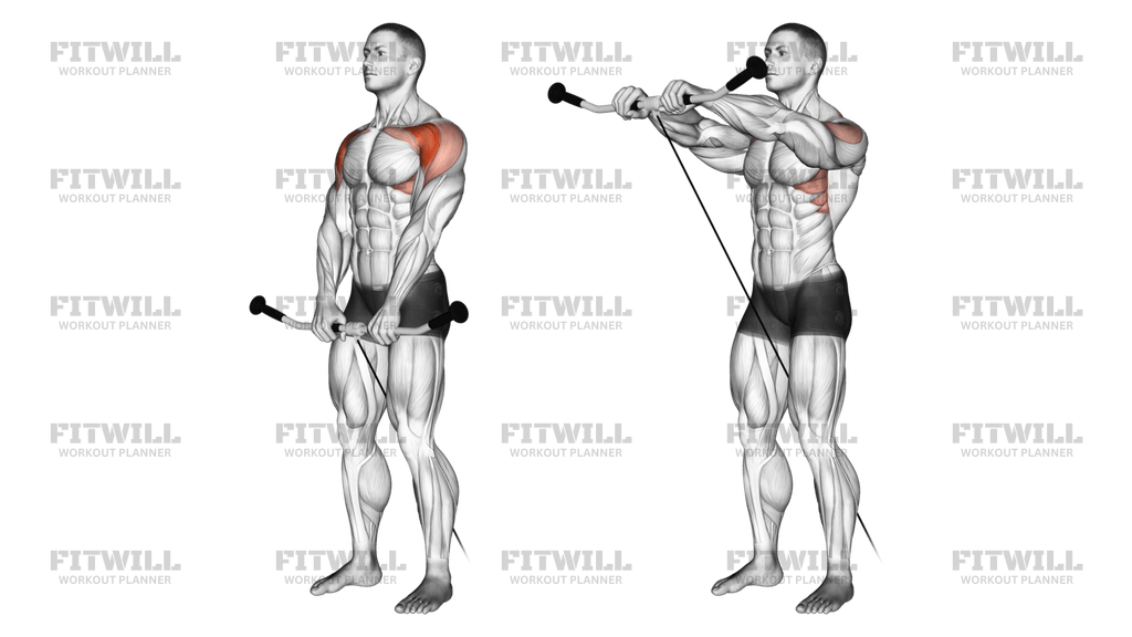 Cable Front Raise: Exercise Video | Fitwill