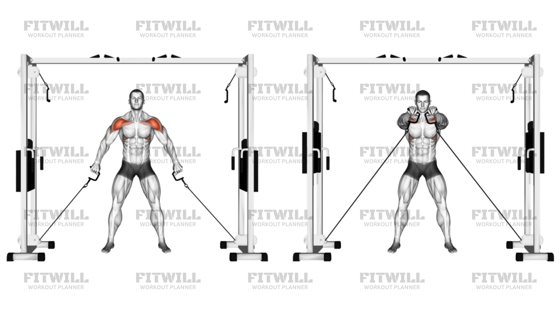 Cable Front Shoulder Raise: Exercise Guide, Techniques, Benefits, How ...