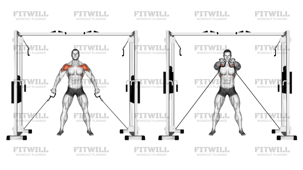Cable Front Shoulder Raise: Exercise Guide, Techniques, Benefits, How ...
