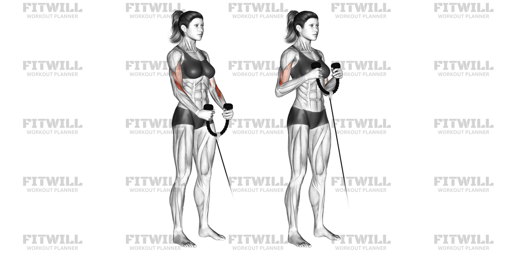 Cable Hammer Curl: Exercise Guide, Video, Techniques, Benefits, How to ...
