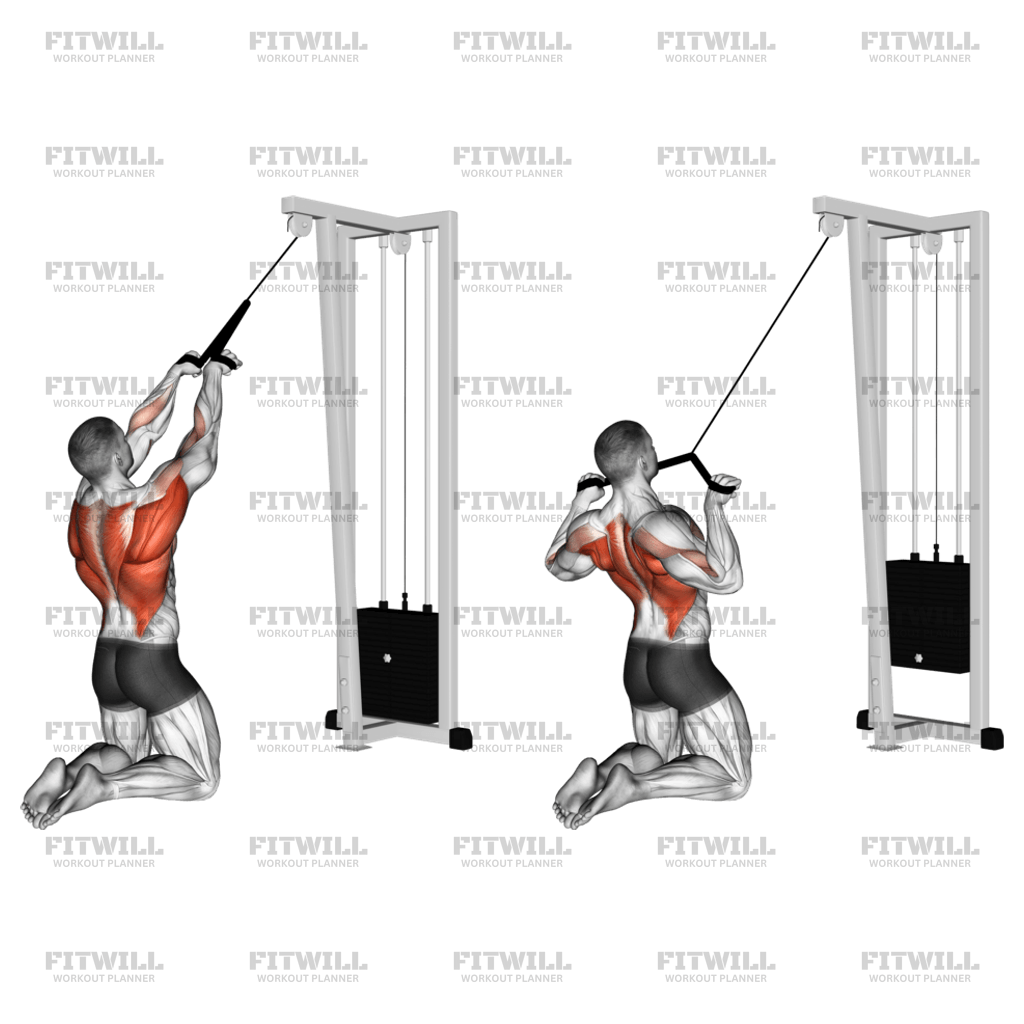 Kneeling High Pulley Row: Exercise Guide, Techniques, Benefits, How to, Muscles Worked, Tips ...
