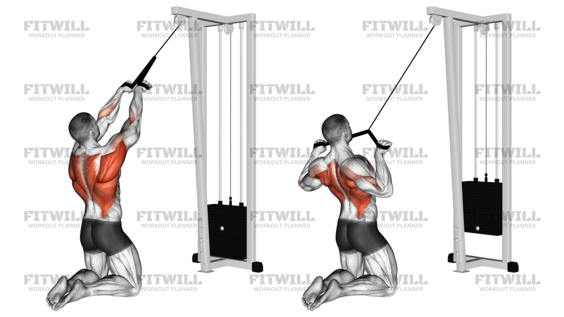 Kneeling High Pulley Row: Exercise Guide, Techniques, Benefits, How to, Muscles Worked, Tips ...