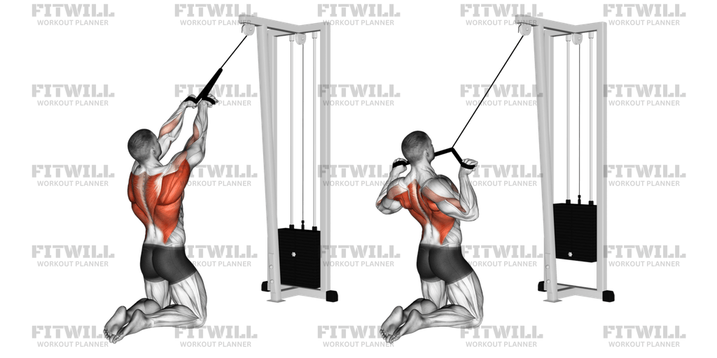 Kneeling High Pulley Row: Exercise Guide, Techniques, Benefits, How to ...