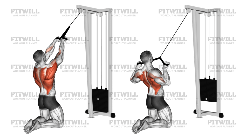Kneeling High Pulley Row: Exercise Guide, Techniques, Benefits, How to ...