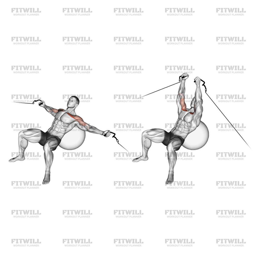 Cable Incline Fly On Stability Ball: Exercise Guide, Video, Techniques ...
