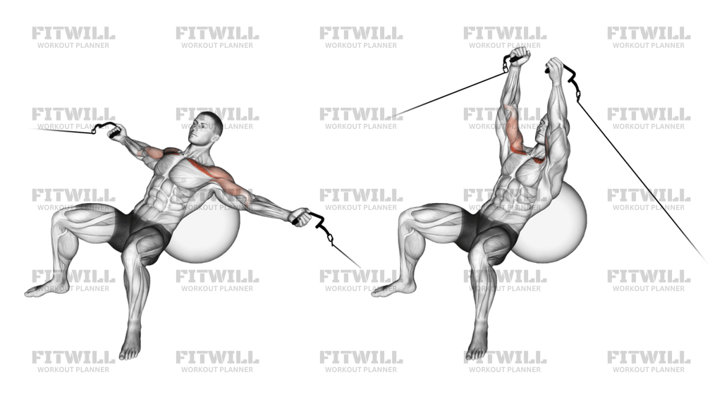 Cable Incline Fly (on Stability Ball): Exercise Guide, Video ...