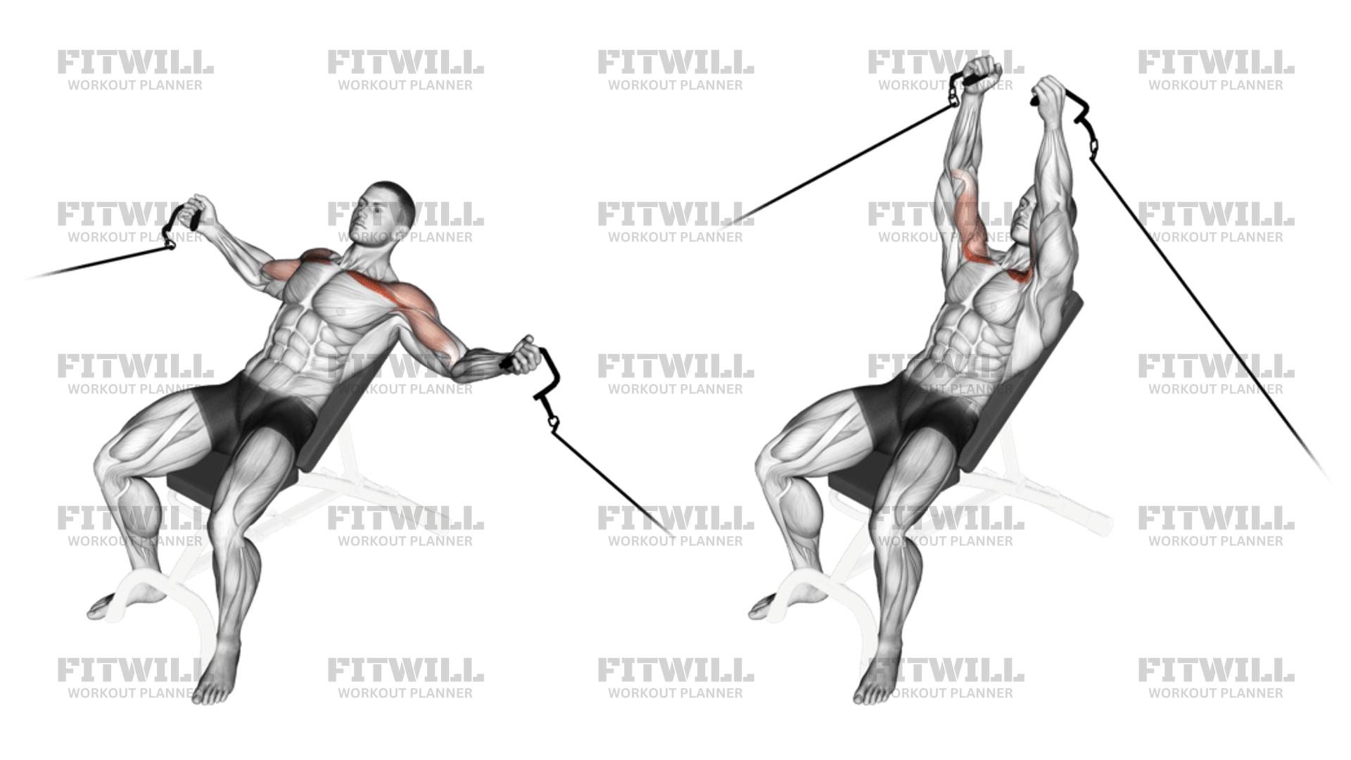 Aperturas En Banco Inclinado Con Polea: Guía de Ejercicios, Video ...