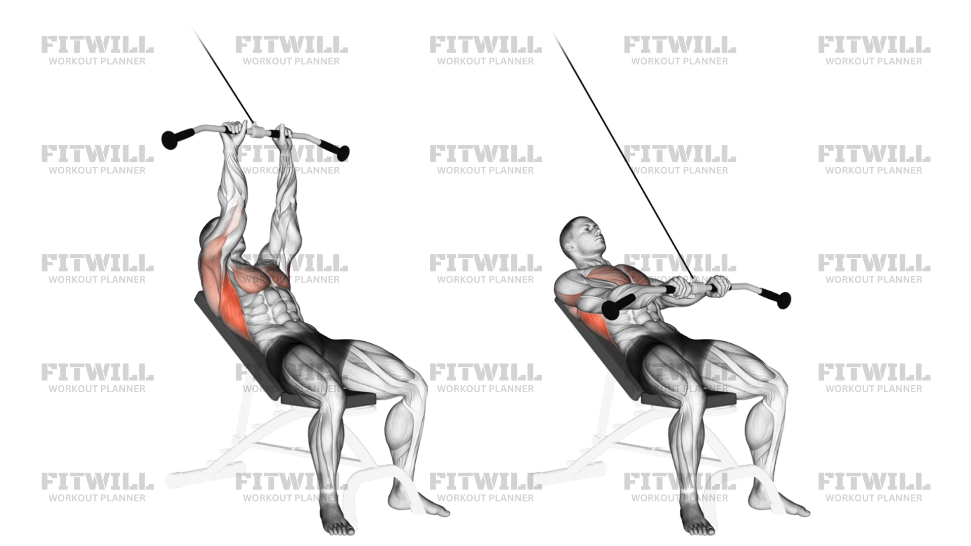 Cable Incline Pushdown: Exercise Guide, Techniques, Benefits, How to ...