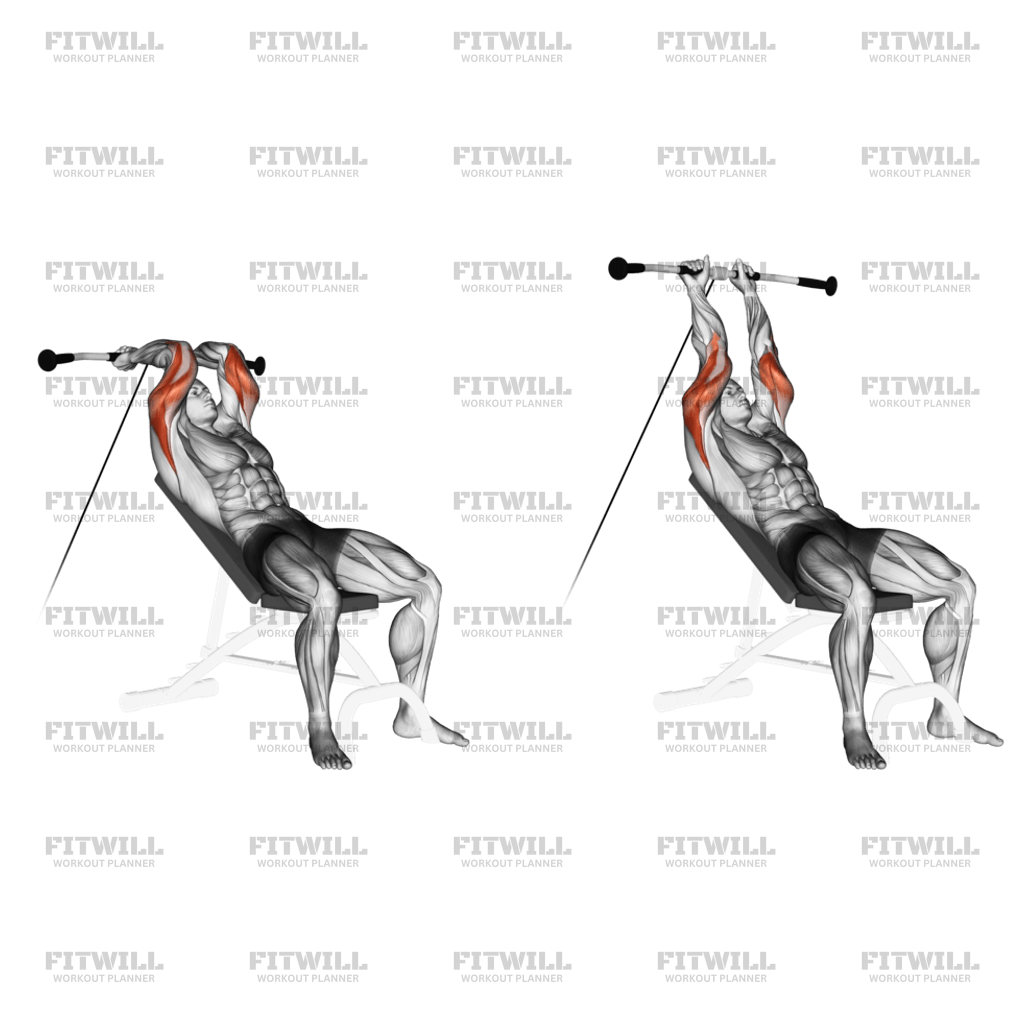 Cable Incline Triceps Extension: Exercise Guide, Video, Techniques ...