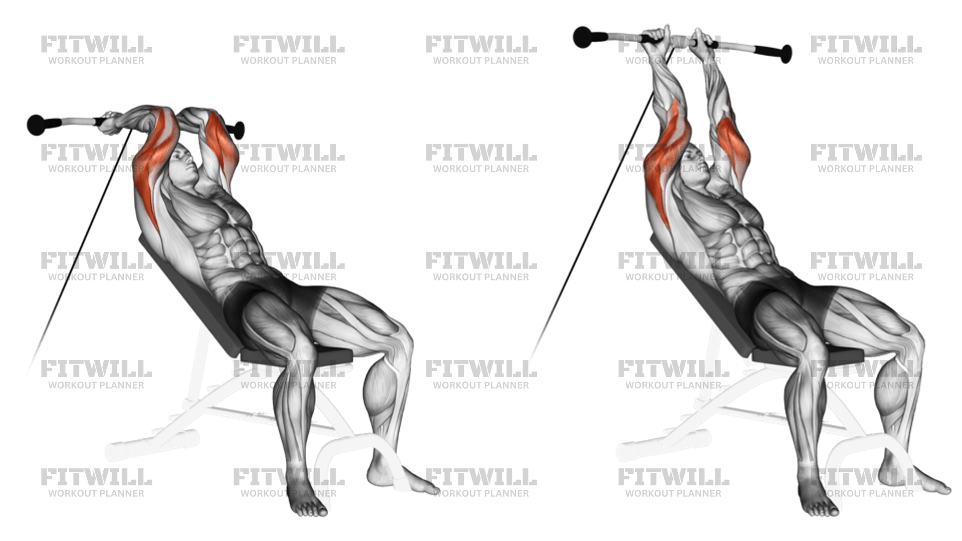 Cable Incline Triceps Extension: Exercise Guide, Video, Techniques ...