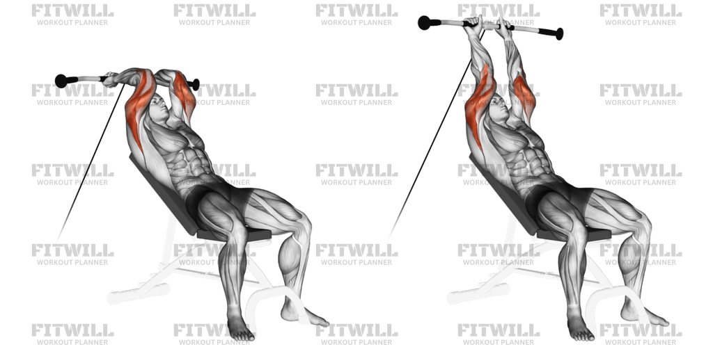 Extensión De Tríceps En Polea Con Banco Inclinado: Guía de Ejercicios ...