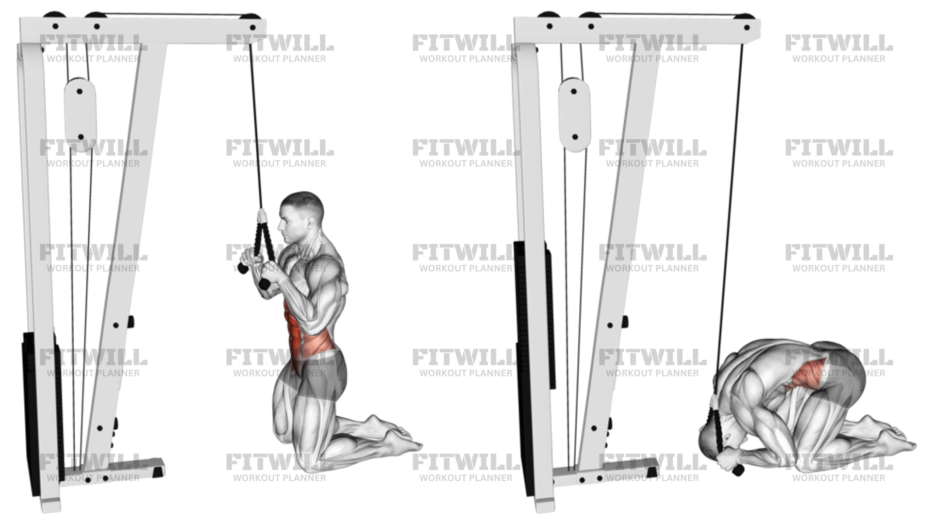 Sculpt Your Core: Effective Cable-Based Ab Workout for Strength and ...