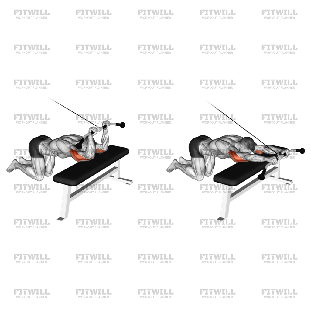 Cable Kneeling Triceps Extension: Exercise Video, Guide, Techniques ...