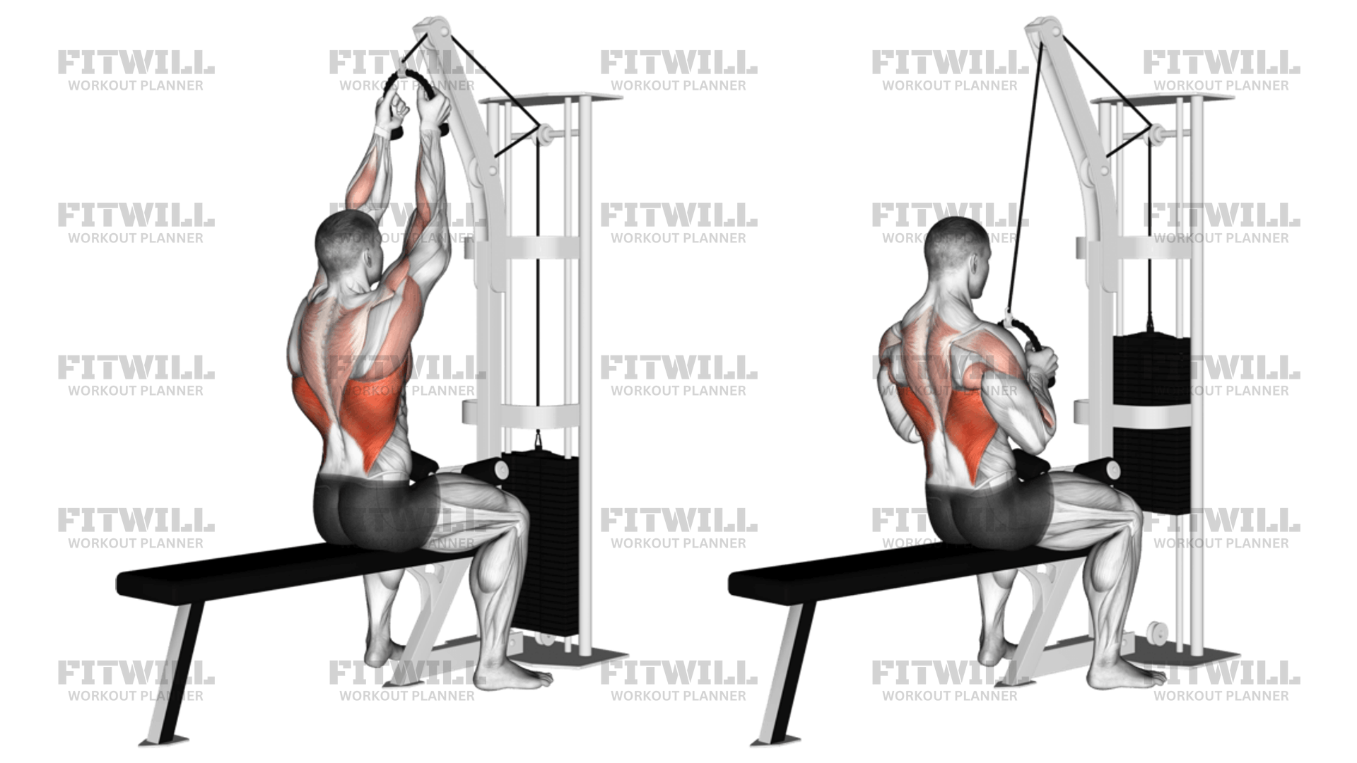 Cable Rope Lat Pulldown: Exercise Guide, Video, Techniques, Benefits ...