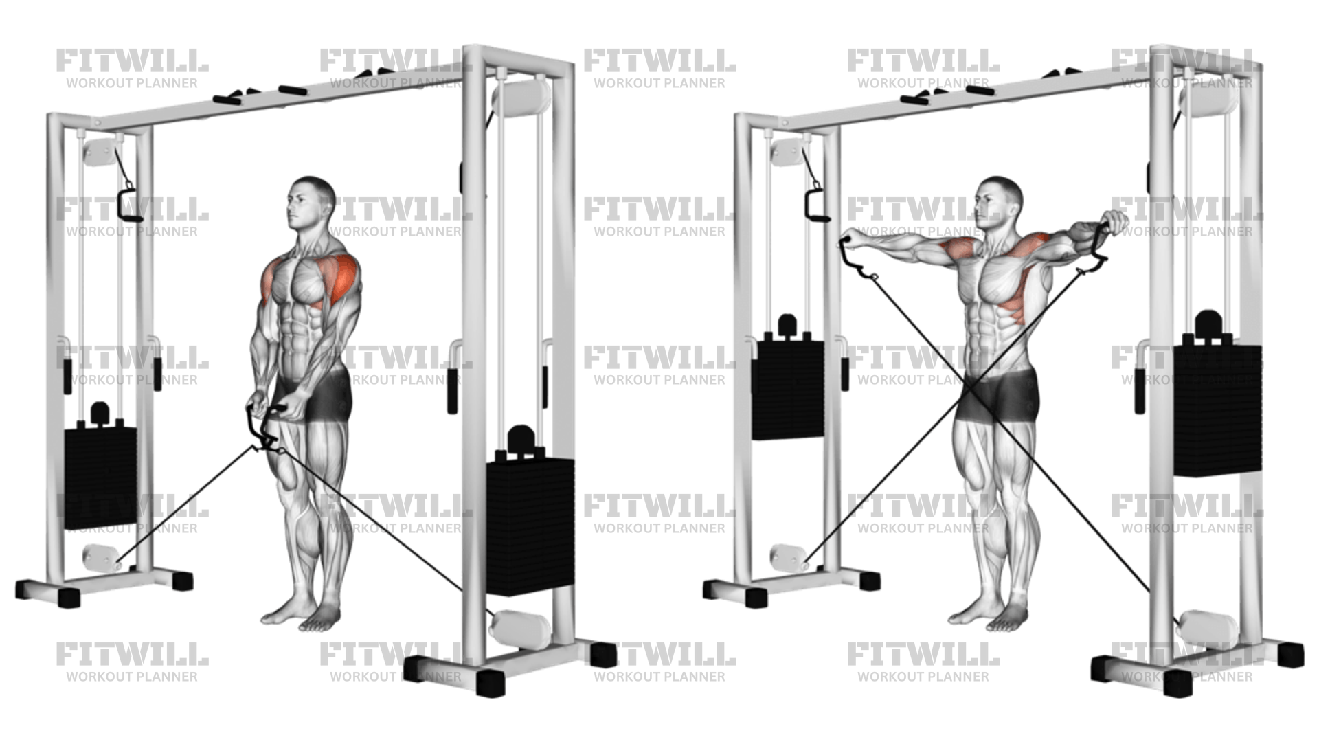 Cable Shoulder Workout for Strength and Stability: 4 Effective ...