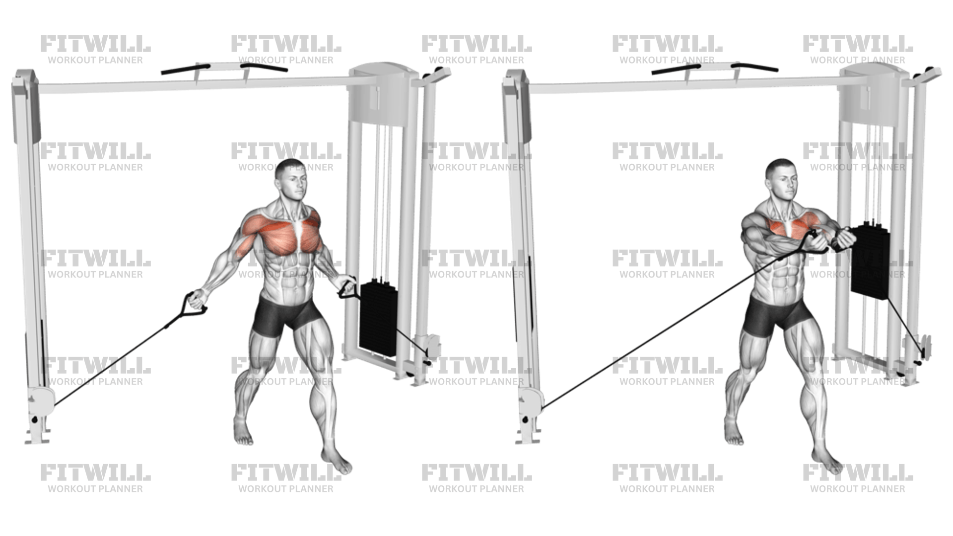 Aperturas En Polea Baja: Guía de Ejercicios, Video, Técnicas ...