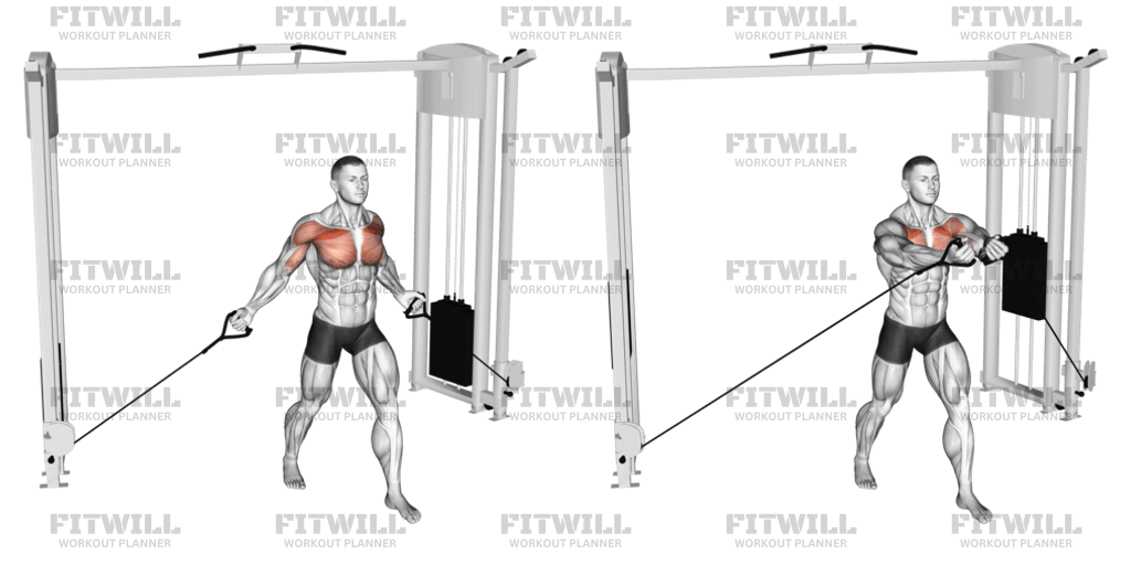 Cable Low Fly: Exercise Guide, Video, Techniques, Benefits, How to ...