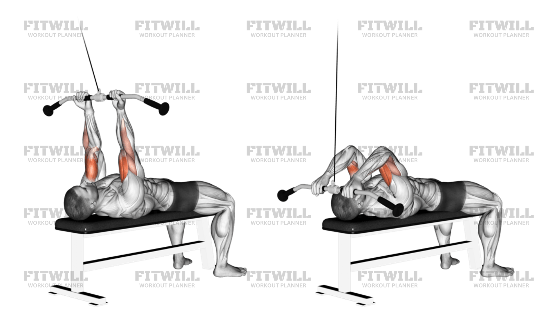Cable Lying Close-grip Curl: Exercise Guide, Techniques, Benefits, How ...
