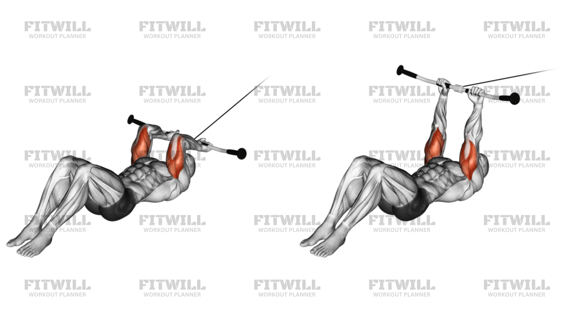 Cable Lying Triceps Extension (version 2): Exercise Guide, Techniques ...