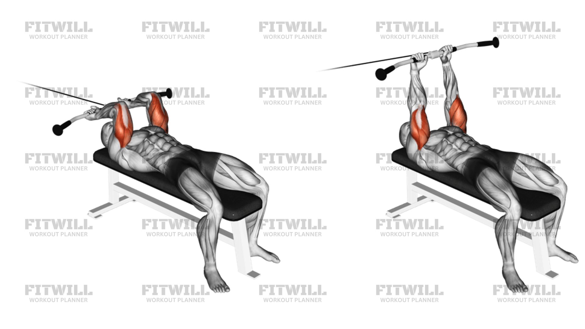 Cable Lying Triceps Extension: Exercise Guide, Video, Techniques ...