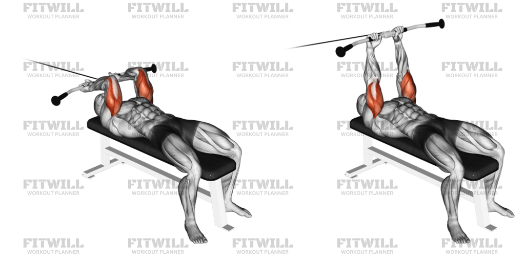 How to do Cable Lying Triceps Extension: Techniques, Benefits, Tips ...