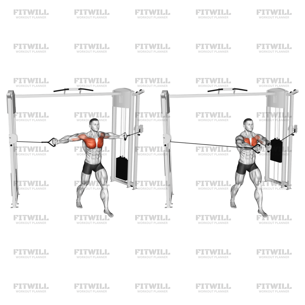 Cable Middle Fly: Exercise Guide, Video, Techniques, Benefits, How to ...
