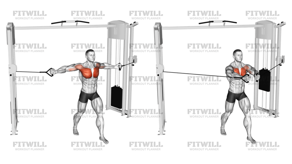 Cable Middle Fly: Exercise Guide, Video, Techniques, Benefits, How to ...