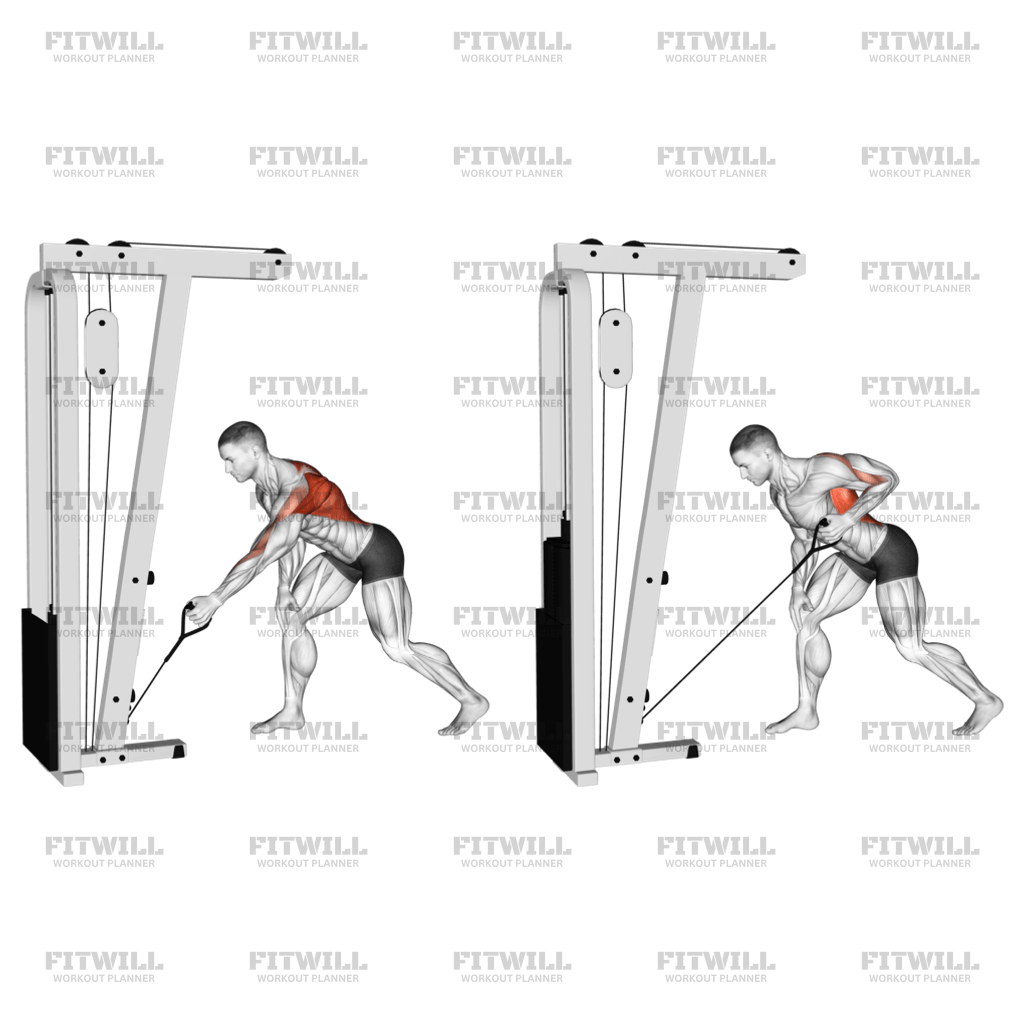 Single Arm Cable Rows: Exercise Guide, Video, Techniques, Benefits, How ...