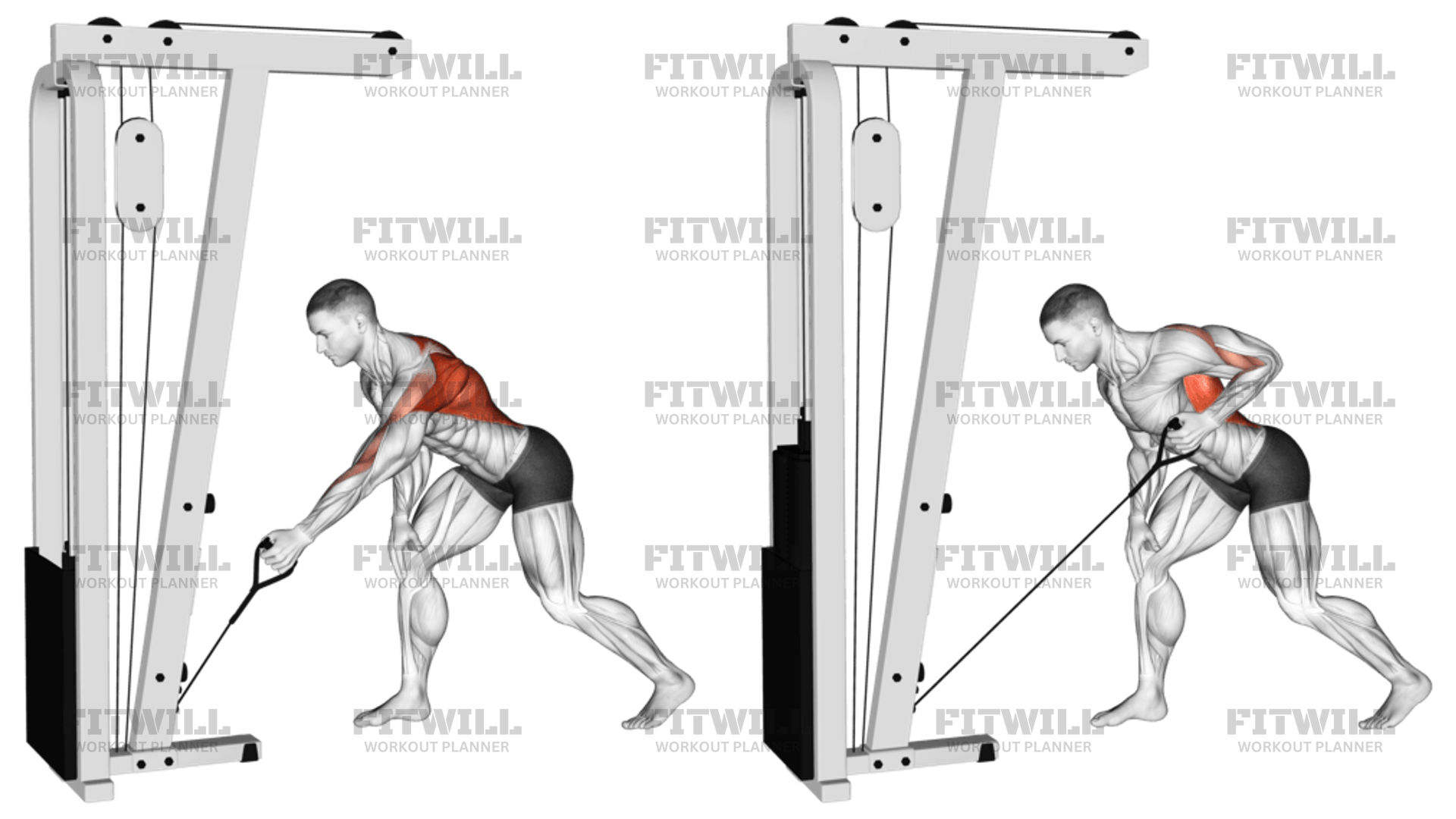 Single Arm Cable Rows: Exercise Guide, Video, Techniques, Benefits, How ...