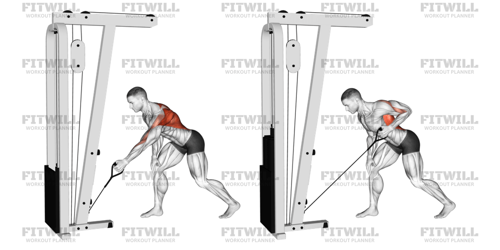 Single Arm Cable Rows: Exercise Guide, Video, Techniques, Benefits, How ...