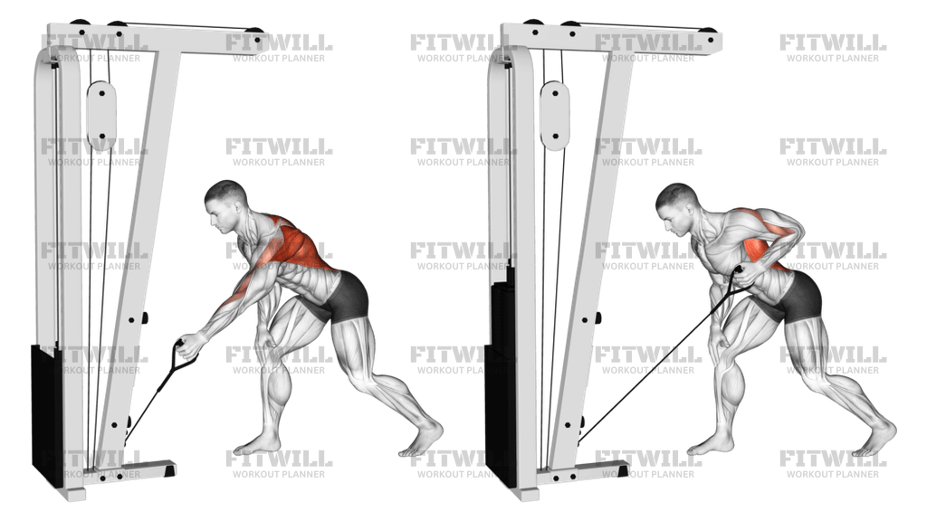 Single Arm Cable Rows: Exercise Guide, Video, Techniques, Benefits, How ...