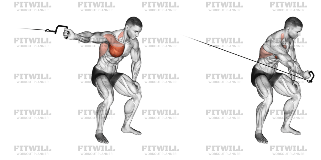 Cable One Arm Lateral Bent-over (R): Guide, Techniques, Benefits, How ...