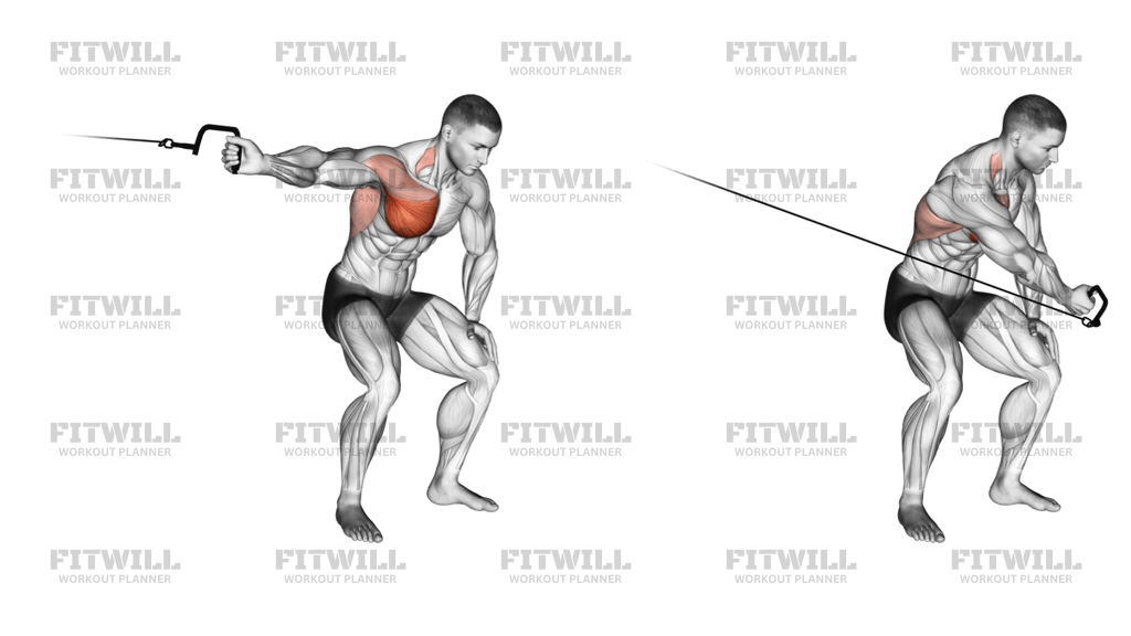 Remo Lateral Con Cable A Un Brazo Inclinado (D): Guía de Ejercicios ...