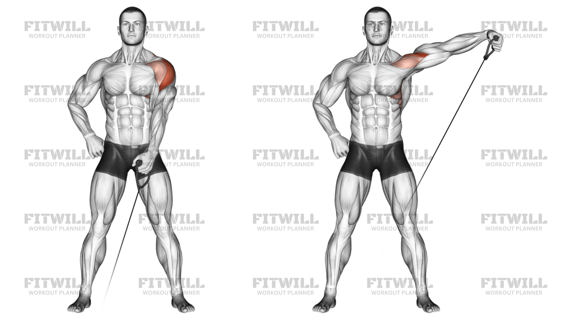 Cable One Arm Lateral Raise: Exercise Guide, Video, Techniques ...
